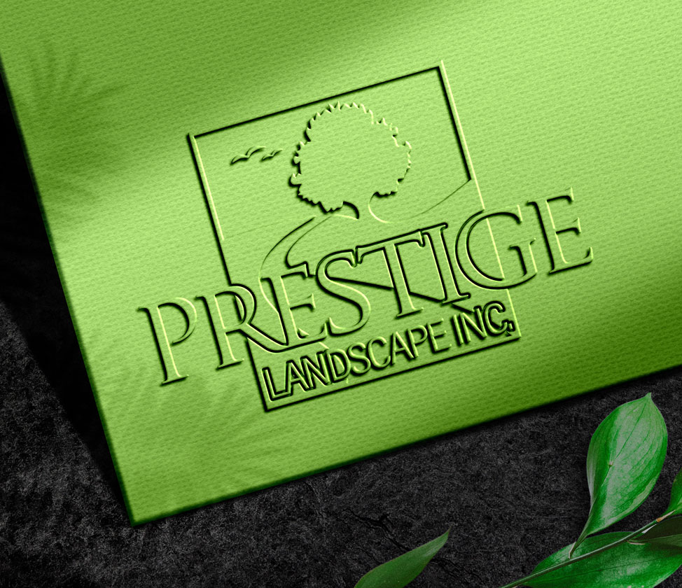 Prestige Landscape - Ideas Cabrera
